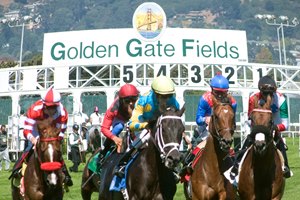 Thoroughbred Racing - BloodHorse