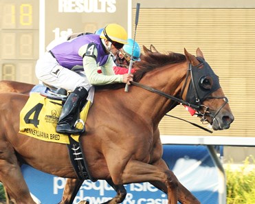 Dynamic Strike - Horse Profile - BloodHorse