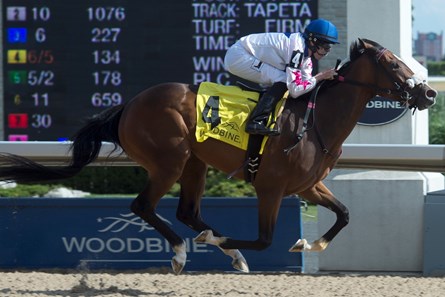 Caren - Horse Profile - BloodHorse