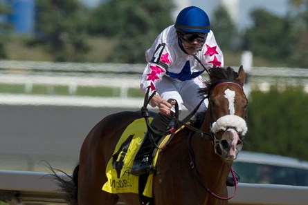 Caren - Horse Profile - BloodHorse