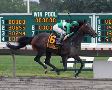 Exaggerator - Horse Profile - BloodHorse