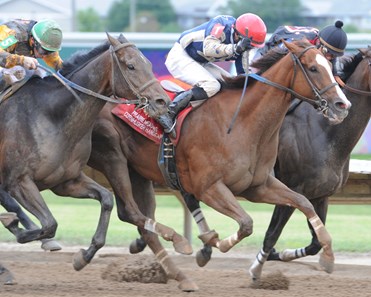 Smack Smack - Horse Profile - BloodHorse