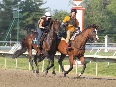 Exaggerator - Horse Profile - BloodHorse