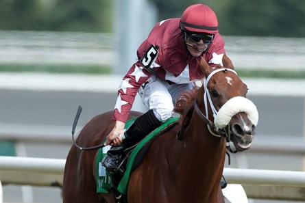 Lady Shipman - Horse Profile - BloodHorse