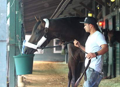 Exaggerator - Horse Profile - BloodHorse