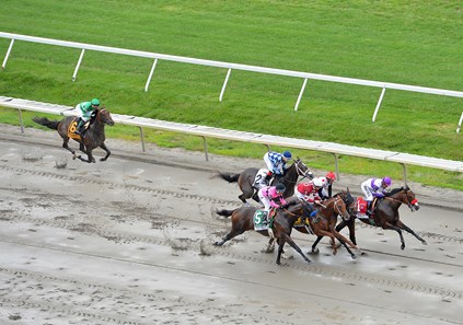 Exaggerator - Horse Profile - BloodHorse