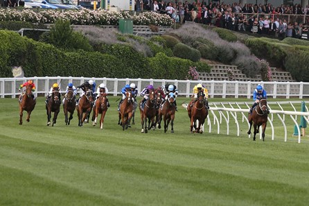 Winx - Horse Profile - BloodHorse