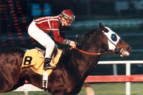 Sire King Glorious Dies in Japan - BloodHorse