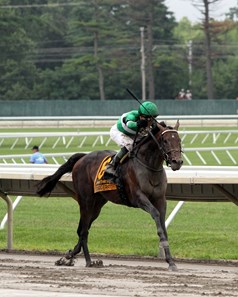 Exaggerator - Horse Profile - BloodHorse