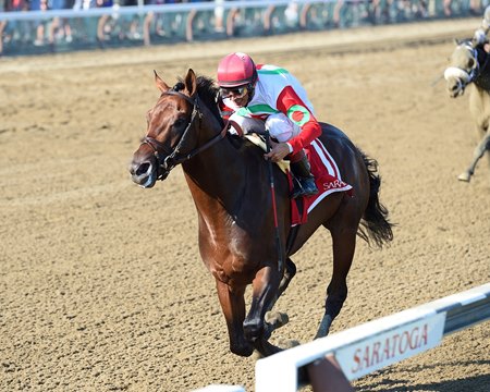 Connect Leads 1-2 Finish for Brown in Curlin - BloodHorse