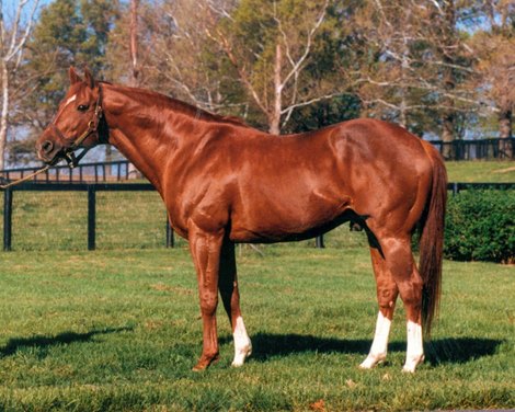 It Takes Only One - BloodHorse