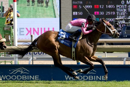 Lexie Lou - Horse Profile - BloodHorse