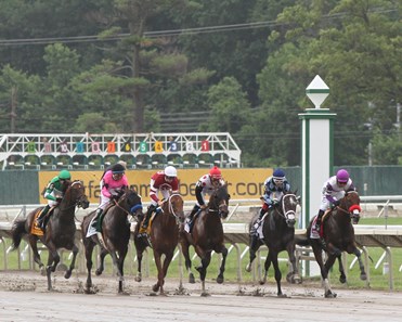 Exaggerator - Horse Profile - BloodHorse