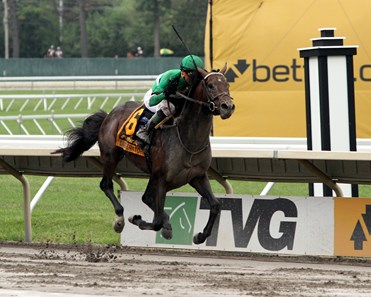 Exaggerator - Horse Profile - BloodHorse