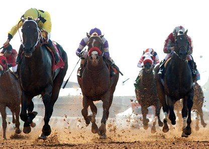 Gold Rush Dancer - Horse Profile - BloodHorse