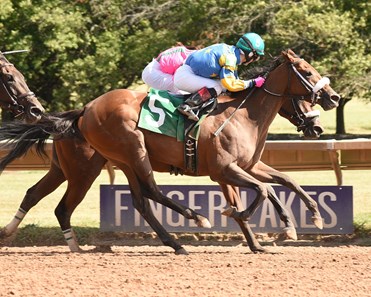 Super Allison - Horse Profile - BloodHorse