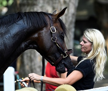 Exaggerator - Horse Profile - BloodHorse