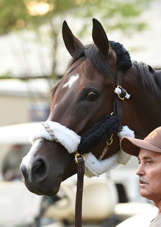 Songbird Logs First Gallop at Saratoga - BloodHorse