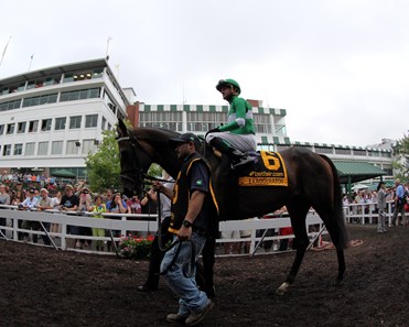 Exaggerator - Horse Profile - BloodHorse
