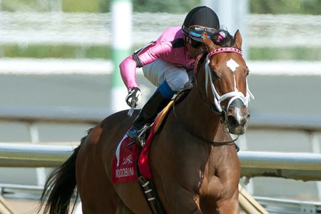 Lexie Lou Goes Wire to Wire in Victoriana - BloodHorse