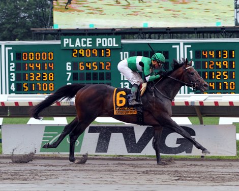 Exaggerator Rebounds With Haskell Victory - BloodHorse