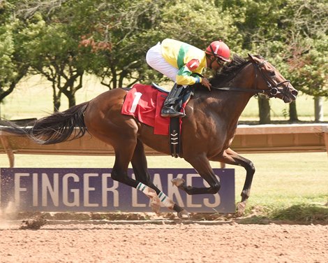 Hit It Once More Gives Sire a Milestone - BloodHorse