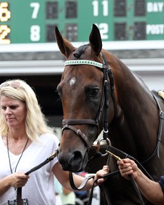 Exaggerator - Horse Profile - BloodHorse