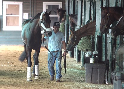 Exaggerator - Horse Profile - BloodHorse
