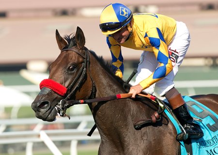 Mokat Seeks Grade I Score in Del Mar Oaks - BloodHorse