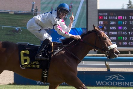 Caren - Horse Profile - BloodHorse