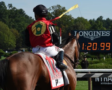 A. P. Indian - Horse Profile - BloodHorse
