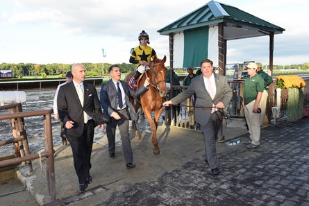 Ring Weekend - Horse Profile - BloodHorse