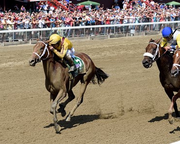 Cavorting - Horse Profile - BloodHorse