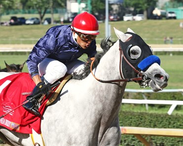 Cupid - Horse Profile - BloodHorse