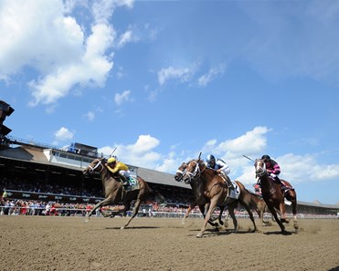 Cavorting - Horse Profile - BloodHorse