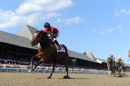A. P. Indian - Horse Profile - BloodHorse