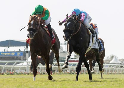 Midnight Storm - Horse Profile - BloodHorse