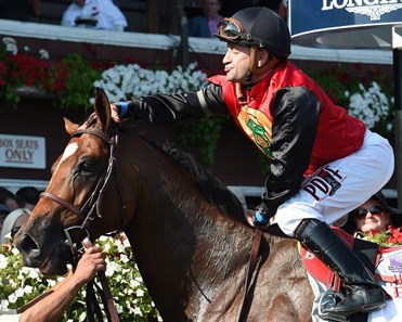 A. P. Indian - Horse Profile - BloodHorse