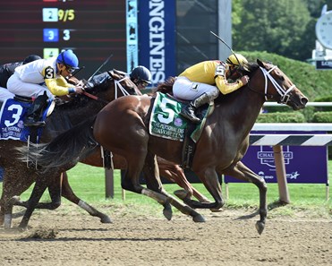 Cavorting - Horse Profile - BloodHorse