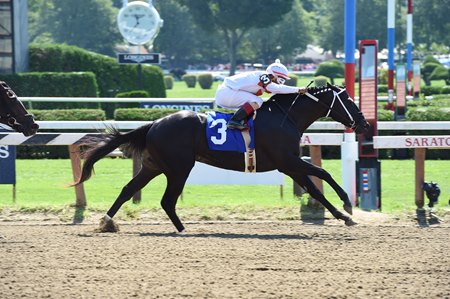 Dialed In Colt Reckling Graduates at Saratoga - BloodHorse