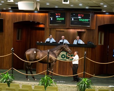 Archarcharch - Horse Profile - BloodHorse