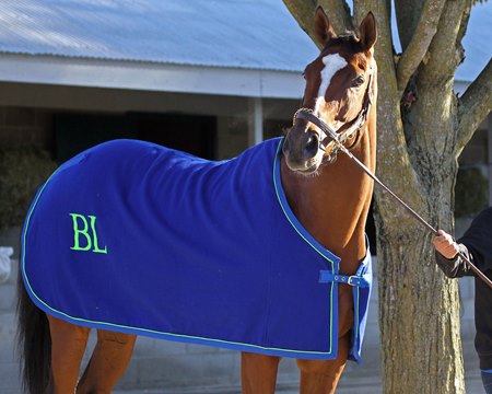 Grade 1 Winner Grand Arch Retired - BloodHorse