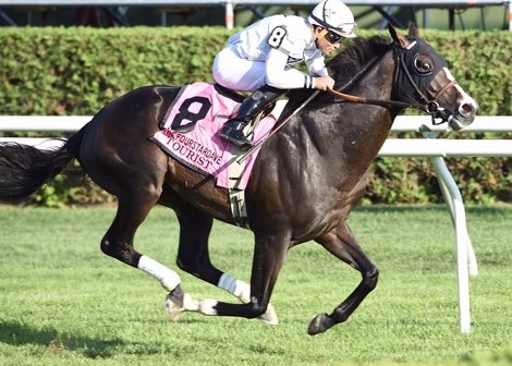 Tourist Breaks Through in Fourstardave - BloodHorse