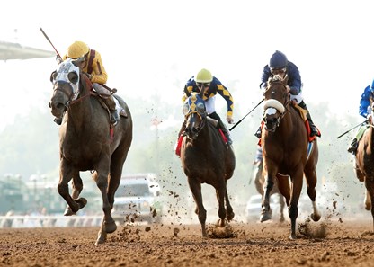 Tara's Tango - Horse Profile - BloodHorse