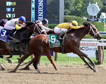 Cavorting - Horse Profile - BloodHorse