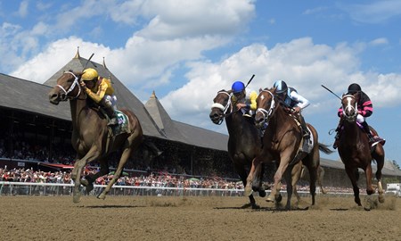 Cavorting - Horse Profile - BloodHorse