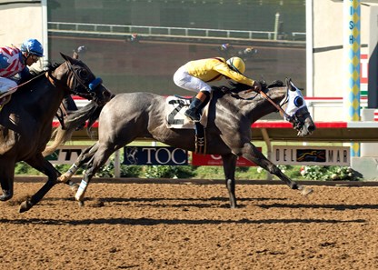 Tara's Tango - Horse Profile - BloodHorse