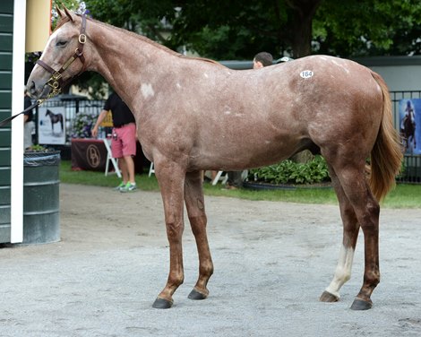 Another Tapit Brings Big Number at F-T - BloodHorse