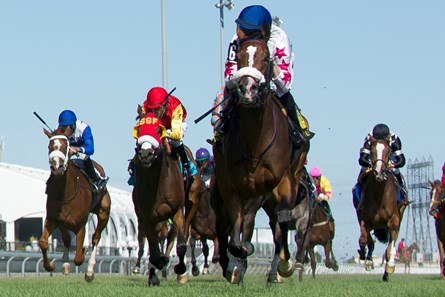 Caren - Horse Profile - BloodHorse