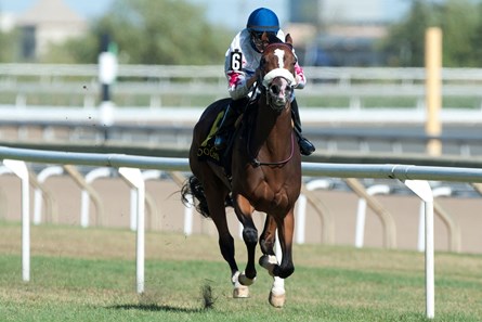 Caren - Horse Profile - BloodHorse